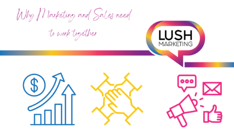 Lush Marketing - Digital Marketing Services and Training